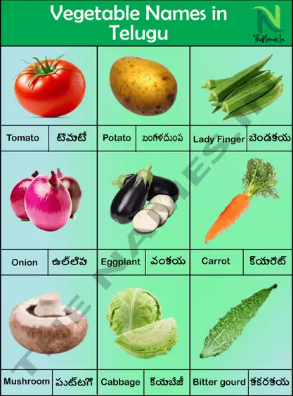 Vegetables Names In Telugu
