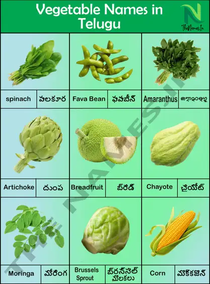 Vegetables Names In Telugu