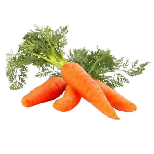 25 Vegetables Names You Should Know For A Healthy Diet