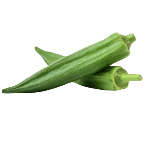 10 Vegetables Names Every Vegetarian Must Try For Health Life