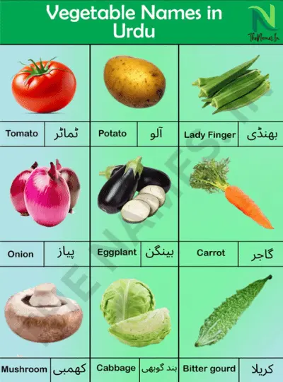 65+ Essential Vegetable Names In Urdu And English | Expand Your Knowledge