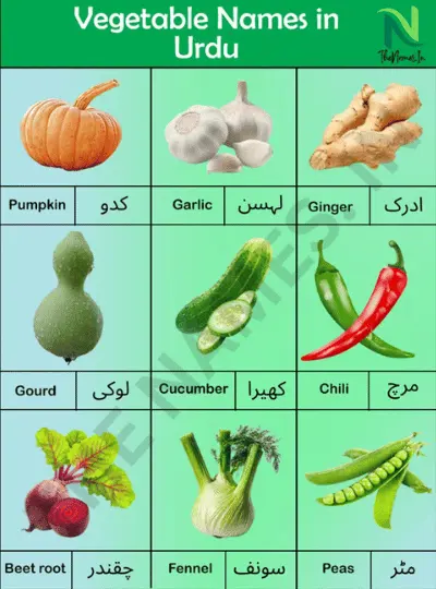 65+ Essential Vegetable Names In Urdu And English | Expand Your Knowledge