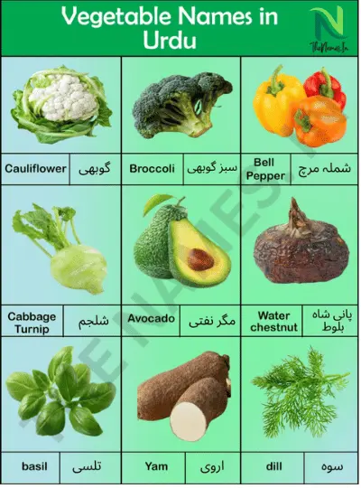 65+ Essential Vegetable Names In Urdu And English | Expand Your Knowledge