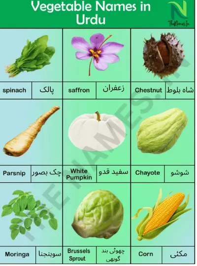 65+ Essential Vegetable Names In Urdu And English | Expand Your Knowledge