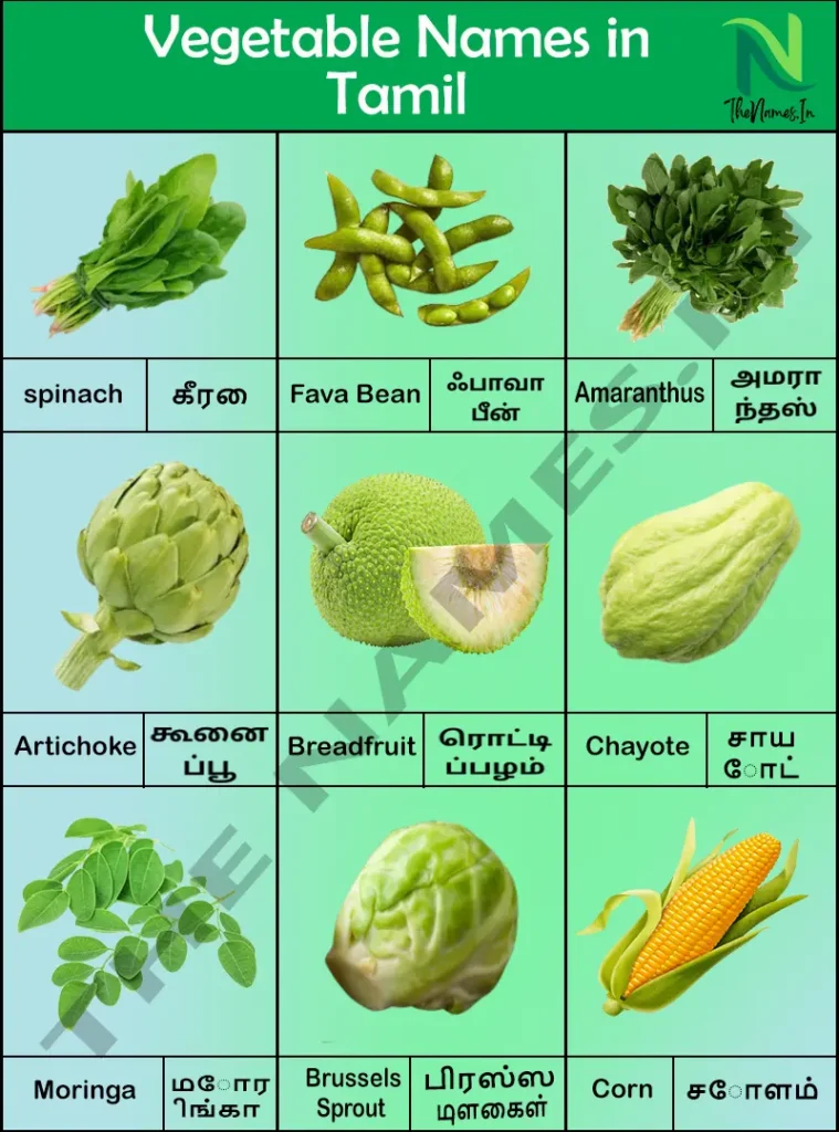 Amazing List Of 134 Vegetables Names In Tamil & English | தமிழ் காய்கறி ...