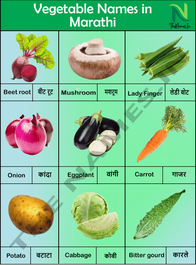96+ Vegetables Names In Marathi – Complete List With Pronunciation & Meaning