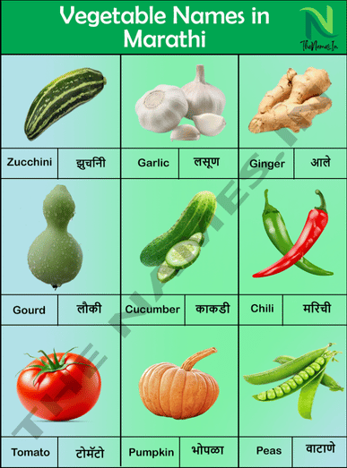 96+ Vegetables Names In Marathi – Complete List With Pronunciation & Meaning