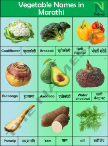 96+ Vegetables Names In Marathi – Complete List With Pronunciation ...