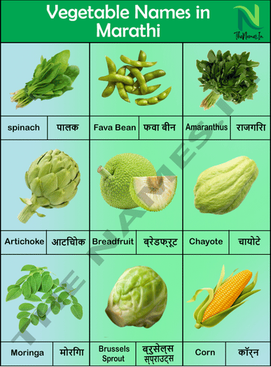 96+ Vegetables Names In Marathi – Complete List With Pronunciation & Meaning
