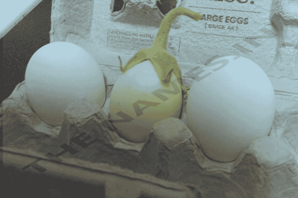 Brinjal: The King Of Vegetables – 7 Incredible Reasons To Include It In ...