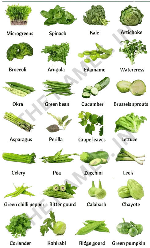 Green Vegetables Names