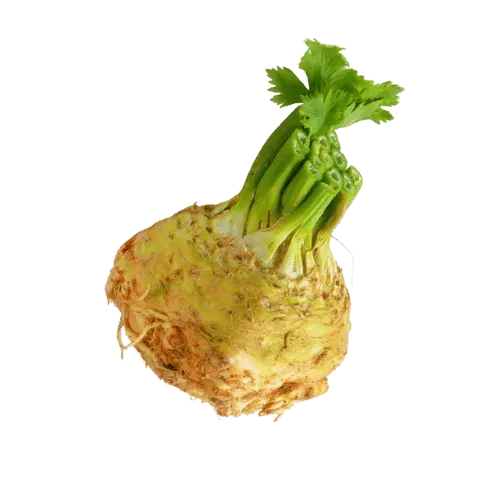 36 White Vegetables Names (With Pictures & Benefits) – Healthy & Nutritious